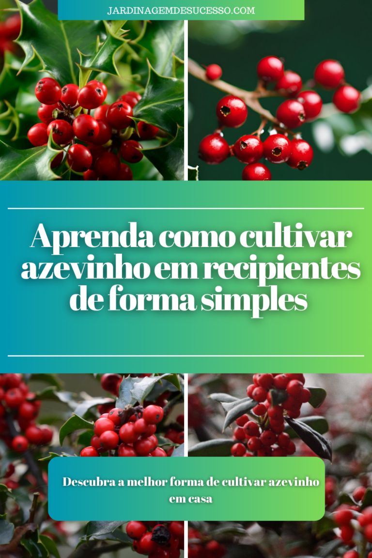 Como cultivar a melhor árvore de azevinho em um recipiente - Jardinagem ...